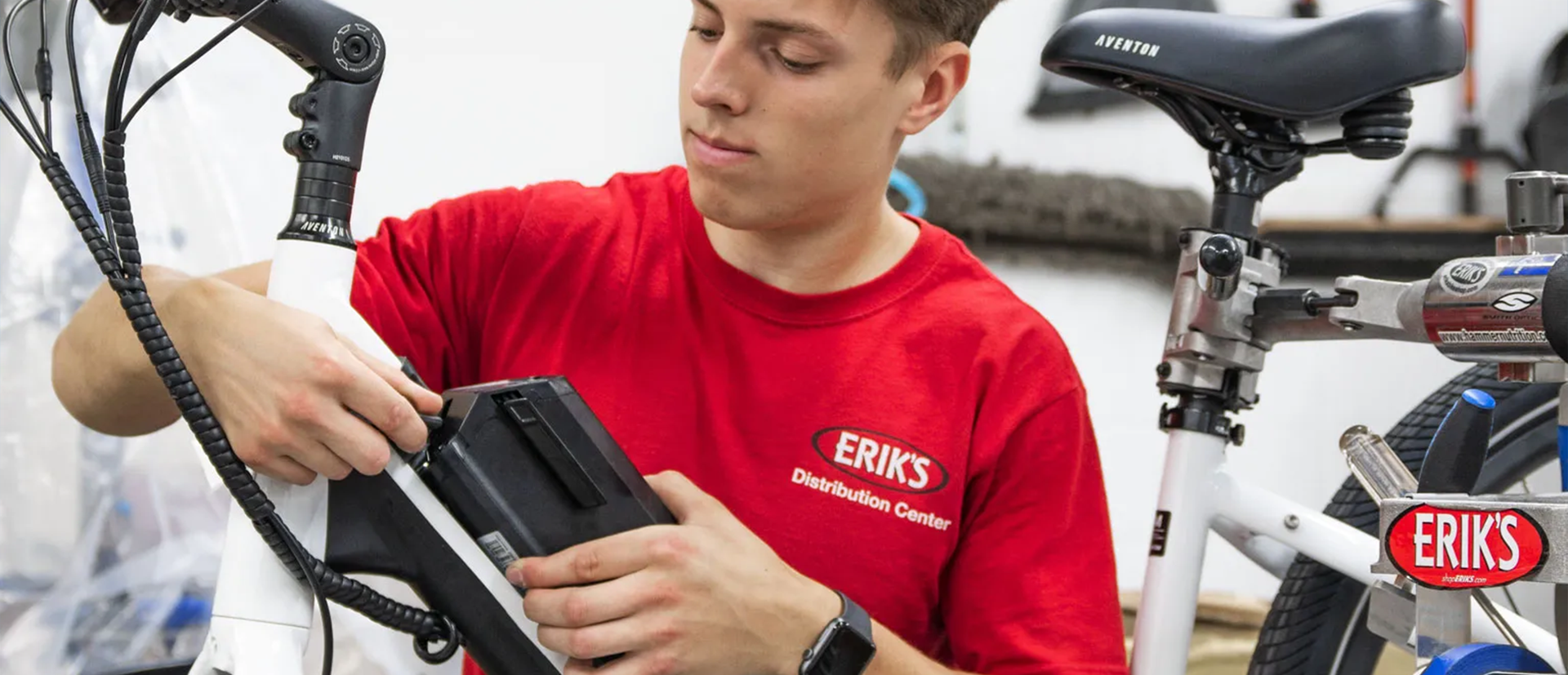 E-Bike Brands ERIK'S Can Service – ERIK'S Bike Board & Ski