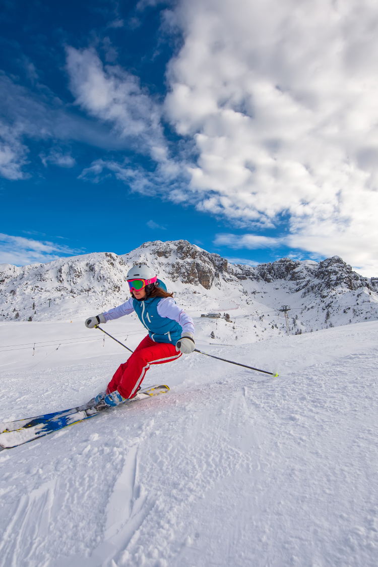 Downhill Ski Buying Guide – ERIK'S Bike Board & Ski