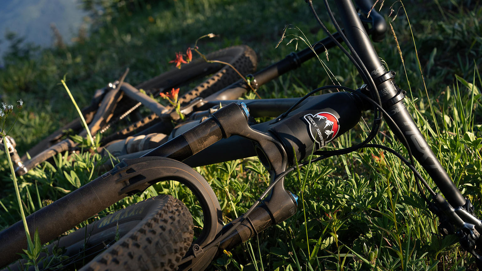 Rocky Mountain Bikes | ERIK'S – ERIK'S Bike Board & Ski